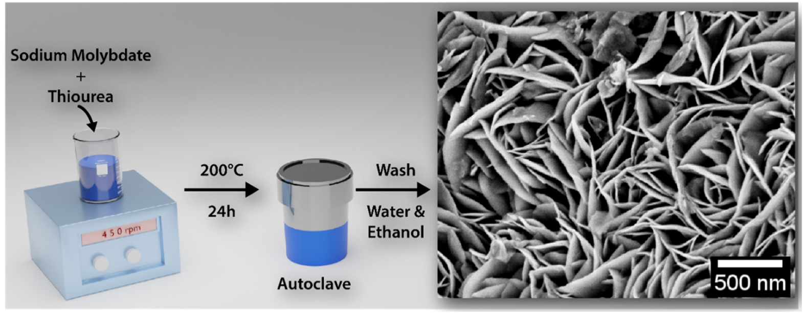 Photocatalytic and Antimicrobial Performance Evaluation of Reusable ...