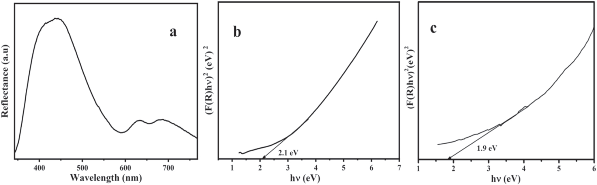 Photocatalytic and Antimicrobial Performance Evaluation of Reusable ...