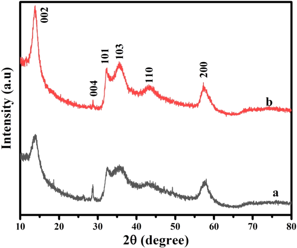 Photocatalytic and Antimicrobial Performance Evaluation of Reusable ...