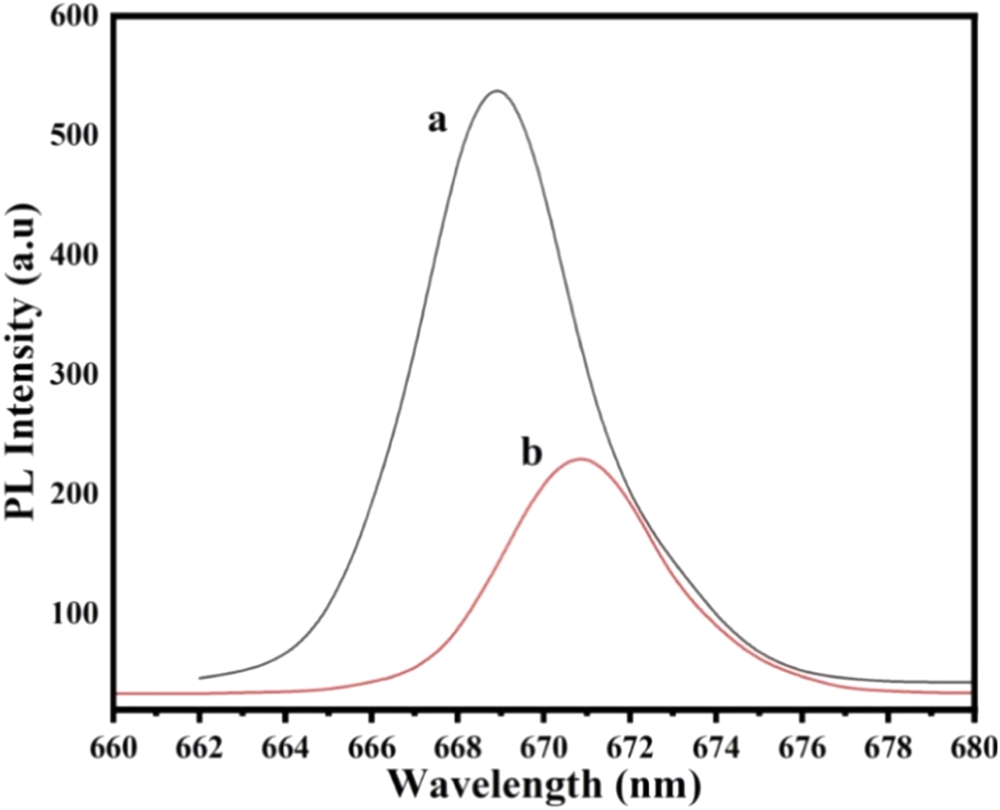 Photocatalytic and Antimicrobial Performance Evaluation of Reusable ...