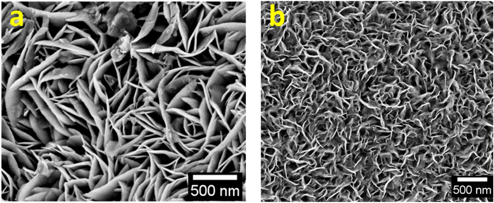 Photocatalytic and Antimicrobial Performance Evaluation of Reusable ...