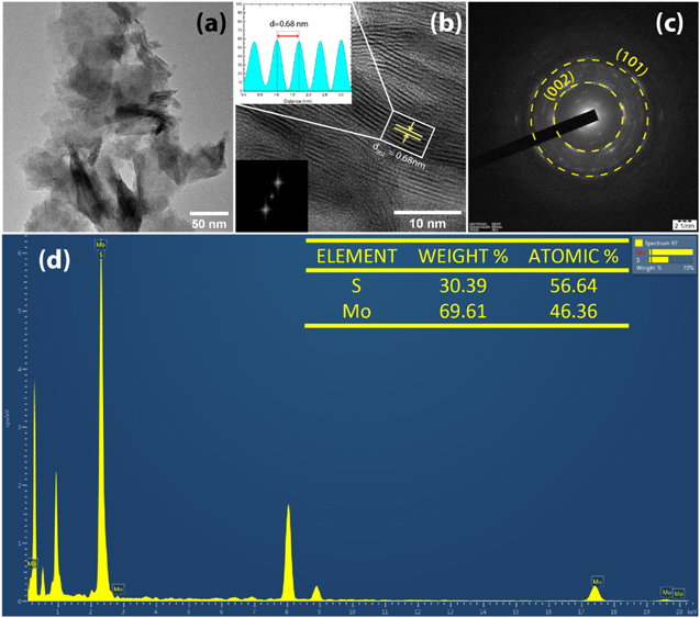 Photocatalytic and Antimicrobial Performance Evaluation of Reusable ...