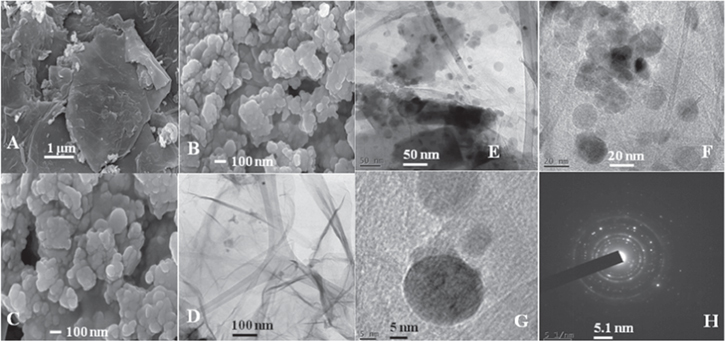 One Pot Synthesis of CuO-CuFe2O4@rGO Nanostructure with Synergistic ...