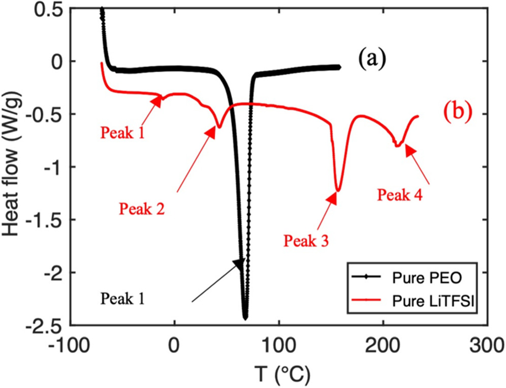 Investigating the Physical State of Polymer Electrolyte: Influence of ...
