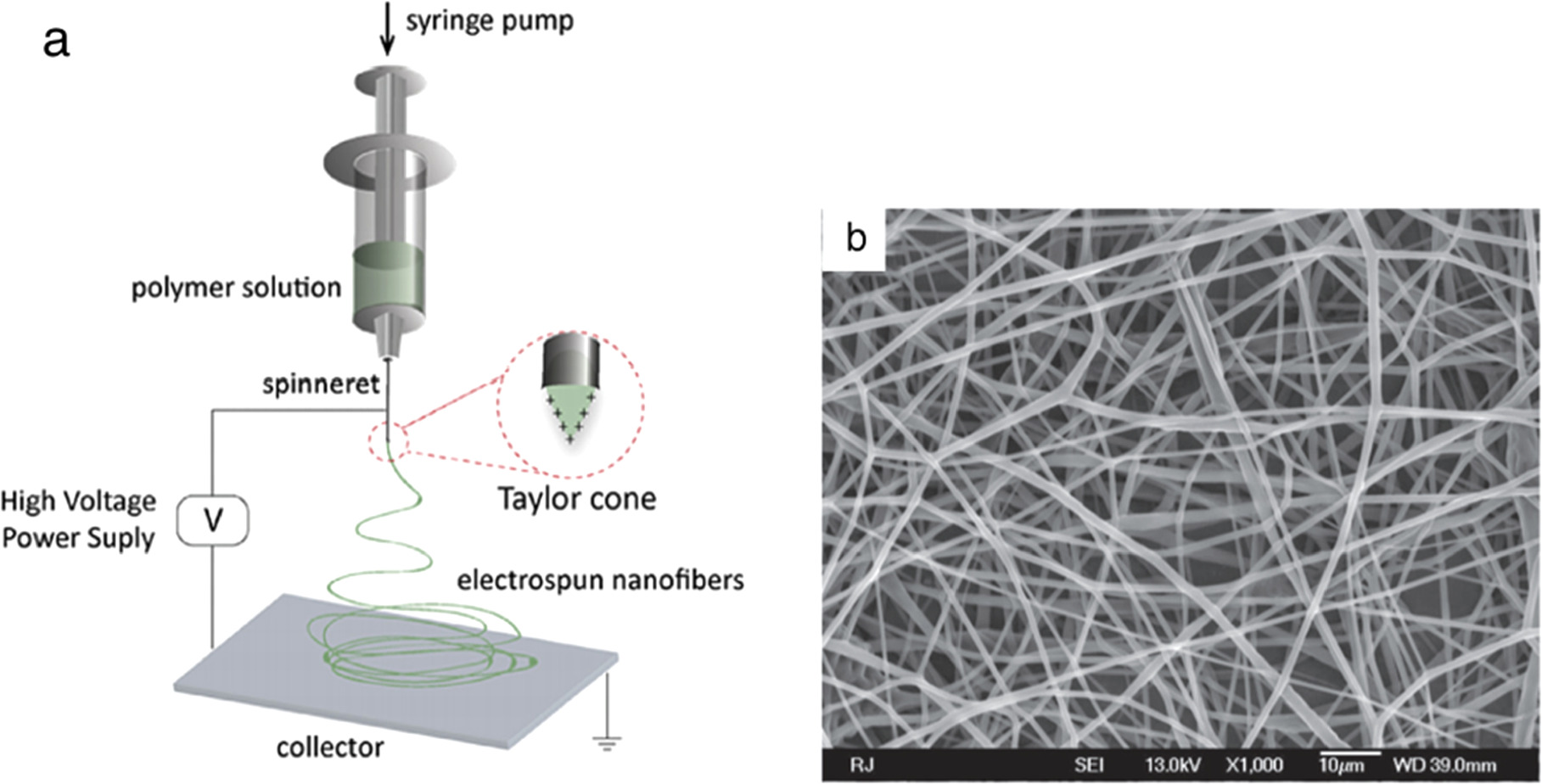 Electrospinning of Heterogeneous Nanofibers: A Review - IOPscience