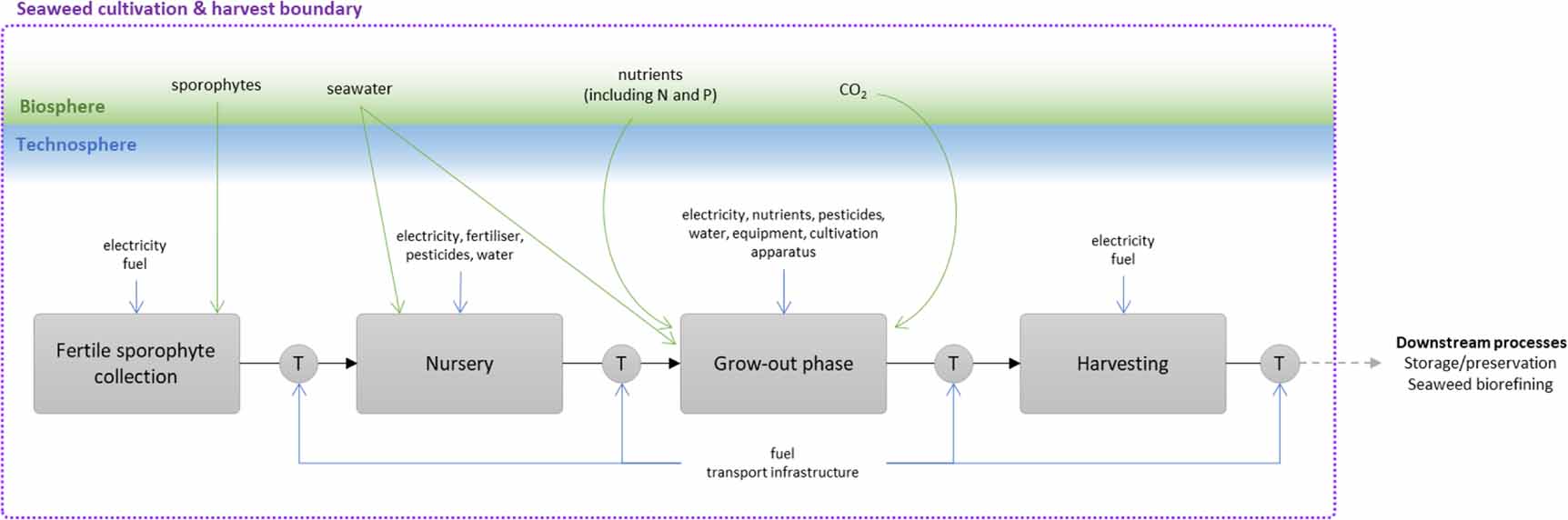Life cycle assessment of seaweed cultivation and harvesting in Europe ...