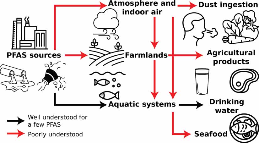 The PFAS roadmap–Navigating a path together to improved management ...